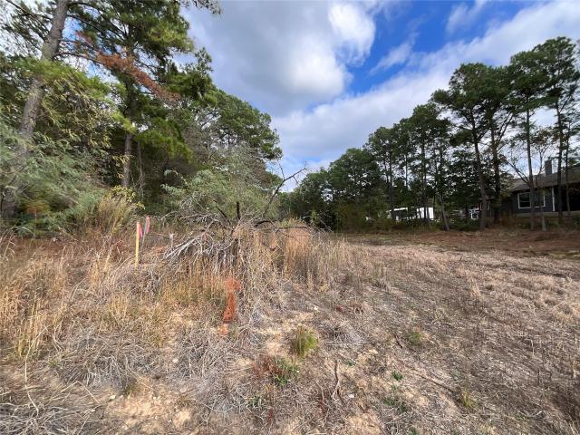 120 Shore Front Dr, Bastrop, TX 78602 | MLS #6654