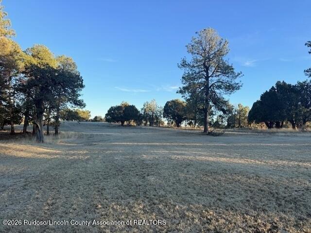 120 Paradise Valley Dr, Timberon, NM 88350