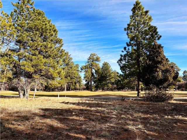 120 Puma Ln, Ridgway, CO 81432