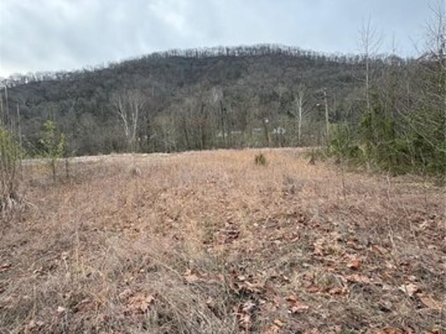 120 River Way Rd, Cedar Grove, WV 25039