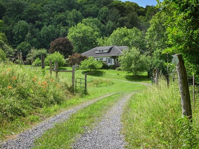 120 Teaberry Rd, Roan Mountain, TN 37687