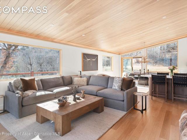 120 Turtle Cove, Aspen, CO