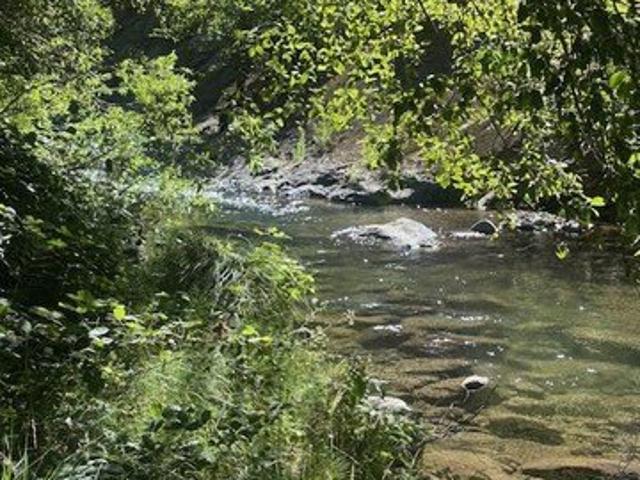 120AC Little Crk Ln, Oak Run, CA 96069