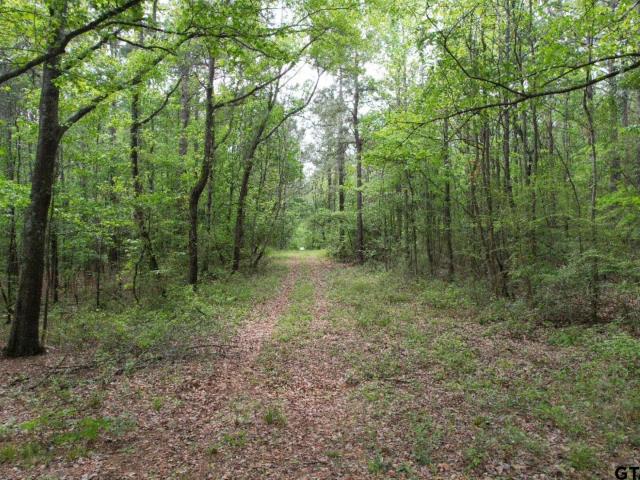 120c San Augustine, TX 75972 | MLS #26004 | Compass