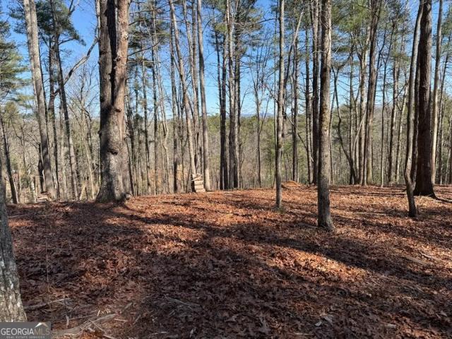 120R Red Oak Trail