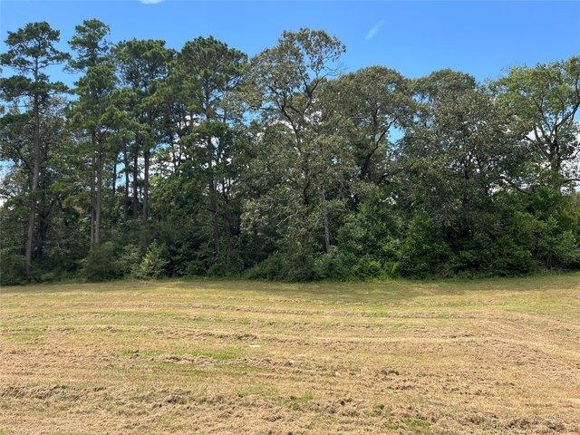 12147 Mustang Ave, Willis, TX 77378