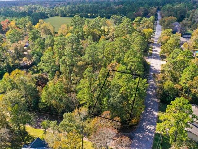 12153 Goliad Ln, Willis, TX 77378