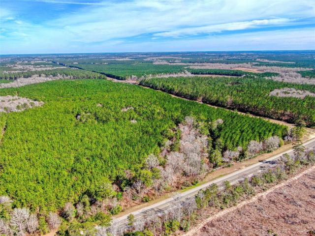 12155 State Highway S, Livingston, TX 77351 | MLS #65082