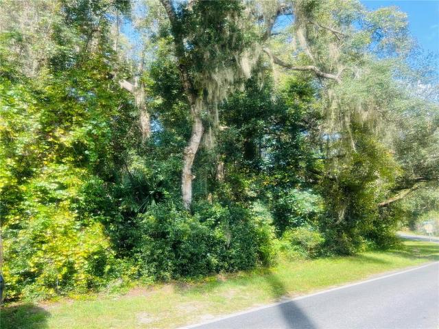 1215 Arredondo Grant Rd, De Leon Springs, FL 32130 | MLS #V4938 | Compass