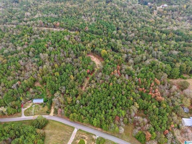 1215 Buddy Vines Camp Rd Lot 0, Bessemer, AL 35023