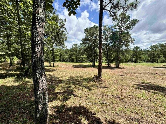 12161 Ridgeview Loop, Andalusia, AL 36421