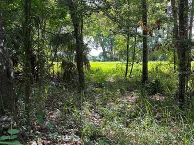 12168 Ponce De Leon Blvd, Brooksville, FL 34601