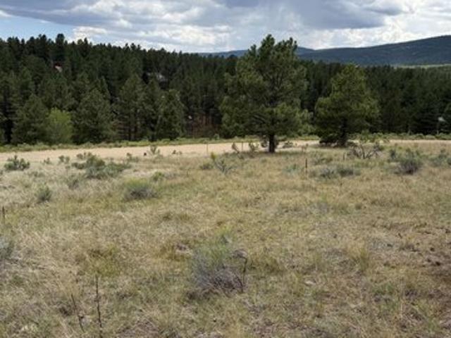 1217 Colonial Trl, Angel Fire, NM 87710