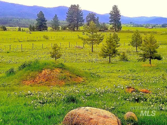 1217 Elo Rd, McCall, ID 83638 | MLS #544105