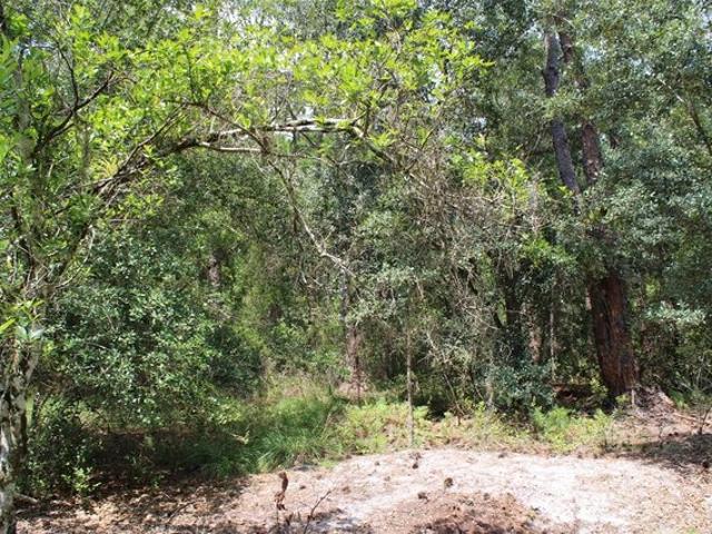 1217 Iris Ave, Sebring, FL 33875