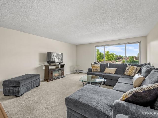 1217 S Old Wilke Road # 303