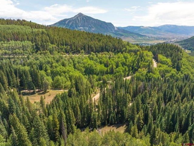 1217 Trappers Way, Crested Butte, CO 81224