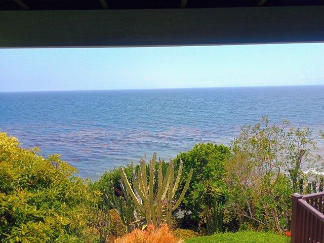 1217 W Paseo Del Mar, Los Angeles, CA 90731