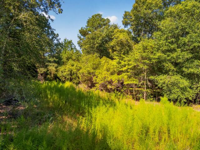 1218 Misty Ridge Lane