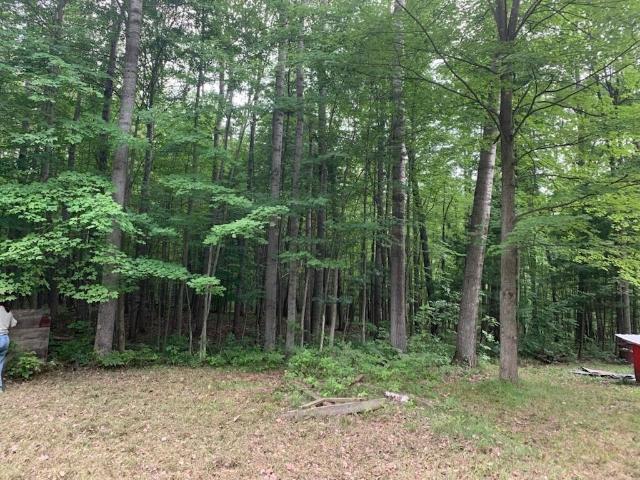 12191 Timber Trail