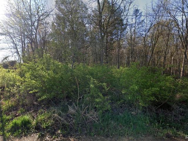 12195 Softwater Lake Dr