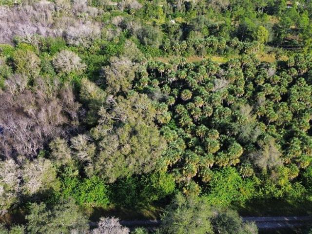 1219 Rosita St, Lehigh Acres, FL 33974 | MLS #O6393