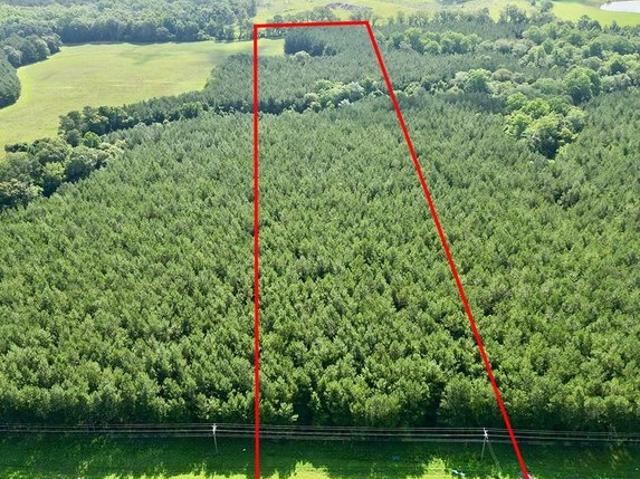 1219 US Highway 231, Brundidge, AL 36010