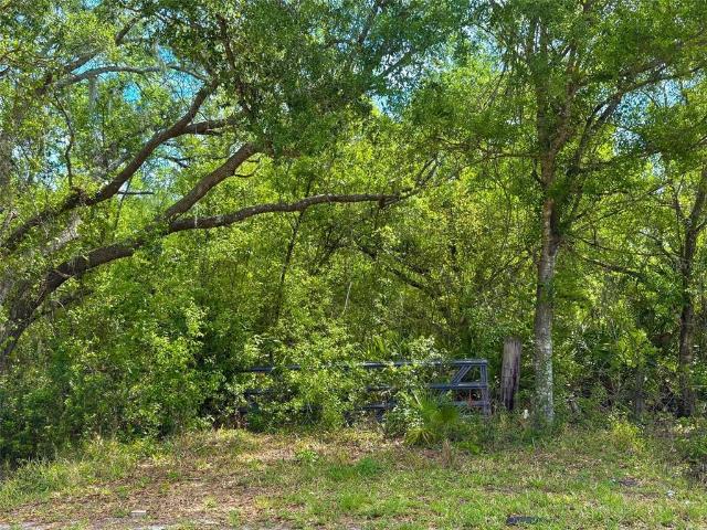 1210 NW Eucalyptus Ave, Arcadia, FL 34266 | Compass