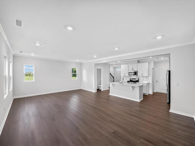 1210 Blue Dasher Lane