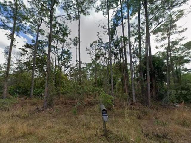 1210 Raphia St E, Lehigh Acres, FL 33974