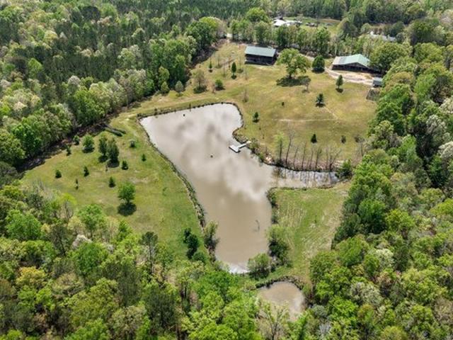 12110 Highway 10 W, Pine Hill, AL 36769