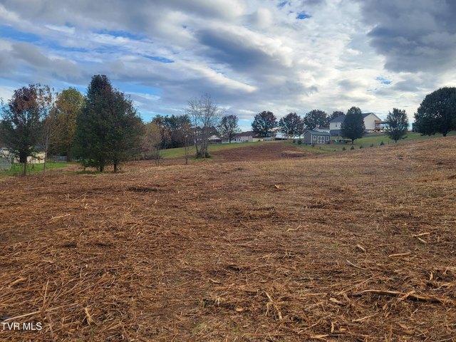 1212 Bowmantown Rd, Limestone, TN 37681