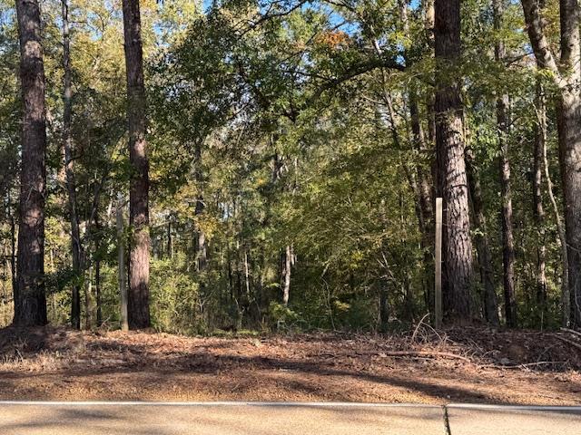 1213 Liberty Rd, Natchez, MS 39120 | MLS #143647