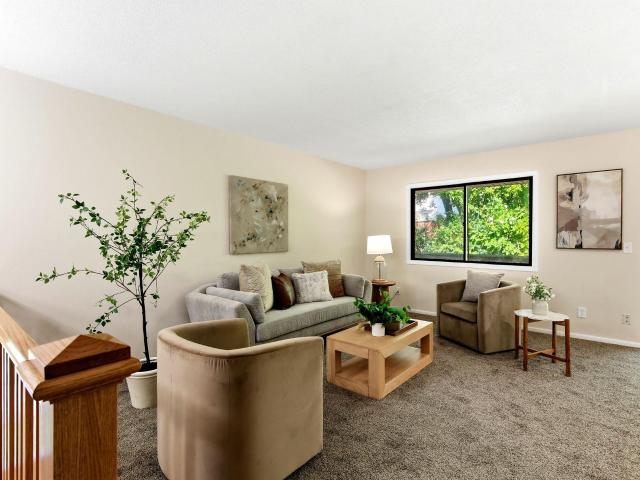 1213 Timbershore Lane