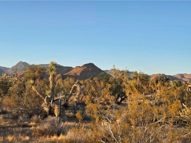 121 16 E Octotillo Dr, Yucca, AZ 86438