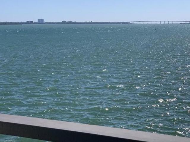 121 1st St E #206, Tierra Verde, FL 33715