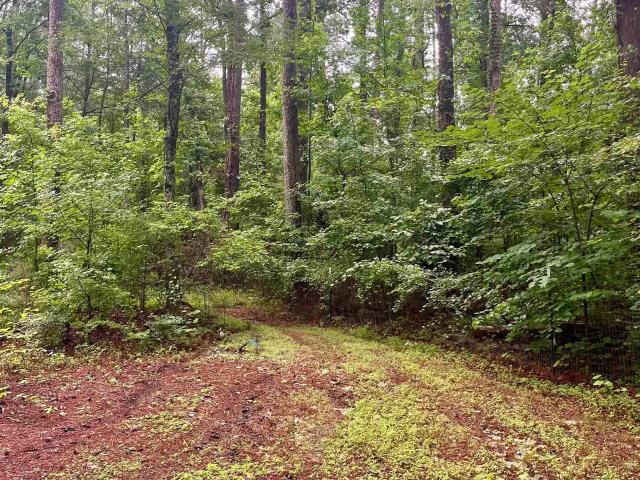 121 County Road 338
