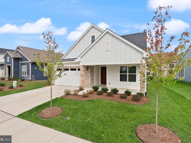 121 Cowbird Street