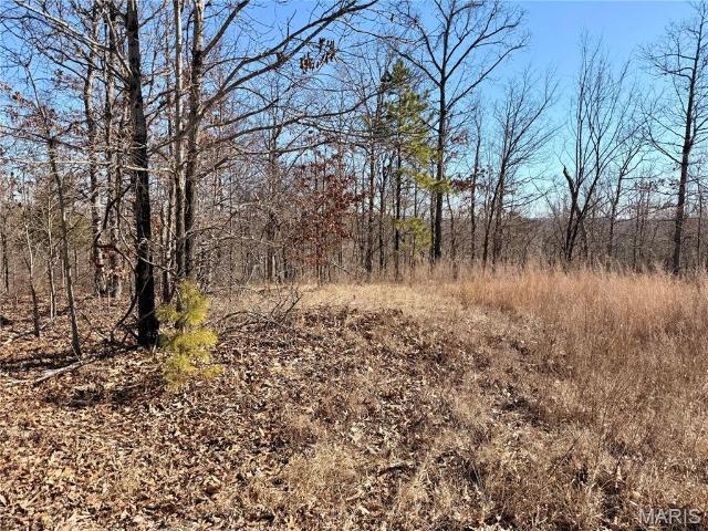 121 A Madison Cr, Fredericktown, MO 63645 | MLS #26007 | Compass