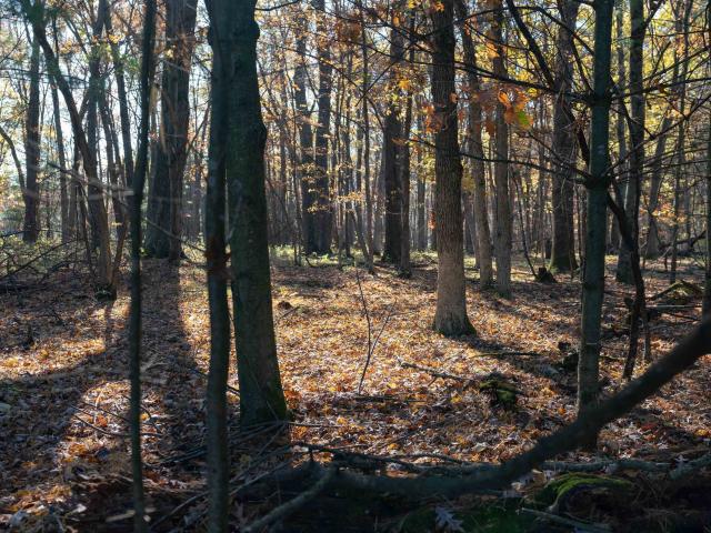 121 Acres County Highway ET