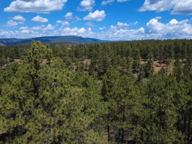 121 Engineer Pt, Pagosa Springs, CO 81147