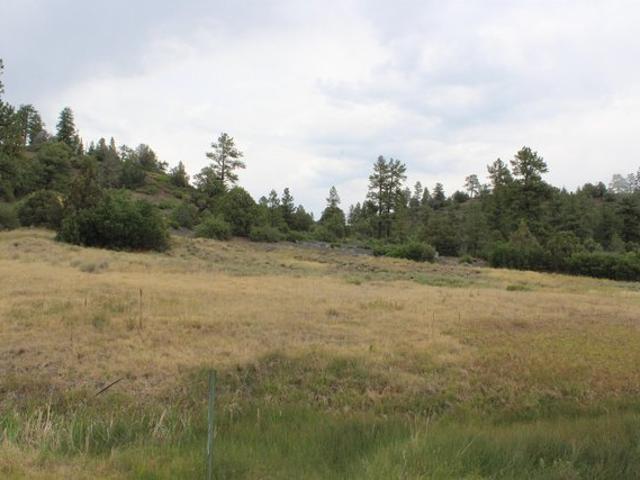 121 Elbert Pl, Pagosa Springs, CO 81147