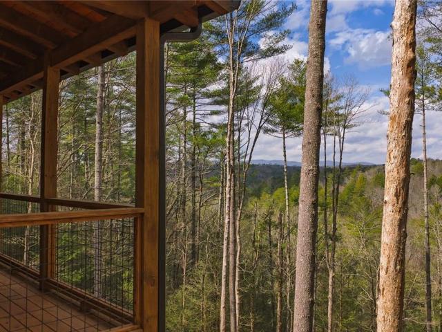121 Indian Ln, Ellijay, GA 30540 | MLS #7740 | Compass
