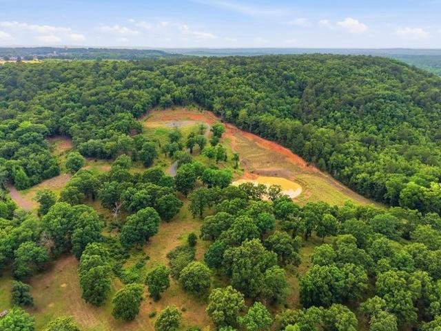121 Oakstone Hts, Conway, AR 72034