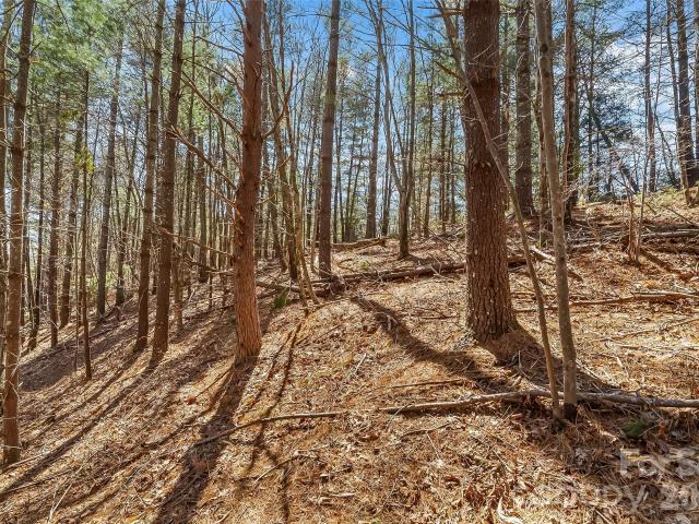 121 Lake Crest Dr, Unit LOT 37 & 36, Nebo, NC 28761 | MLS #4360