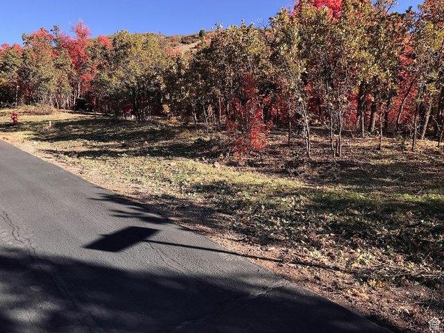 121 N Oakwood Cir Unit 31, Springville, UT 84663