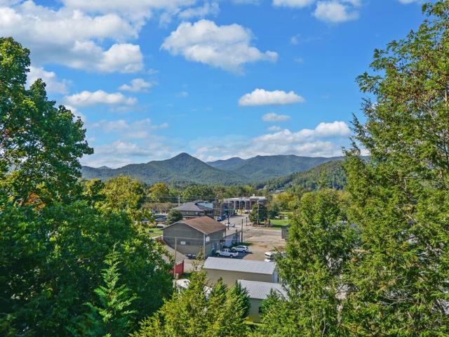 121 N River St, Unit 4C, Hiawassee, GA 30546 | MLS #419357