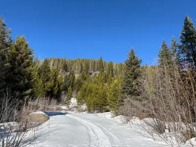 121 S GRANITE RD, PHILIPSBURG, MT 59858 Vacant Land For Sale.