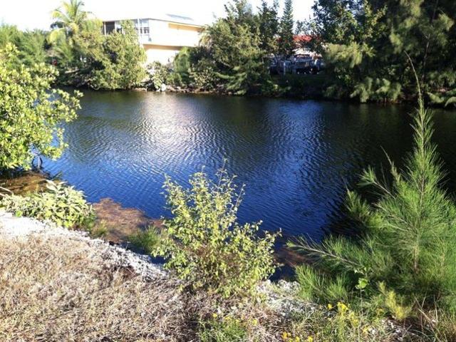 121 San Marco Dr, Village of Islands, FL 33036