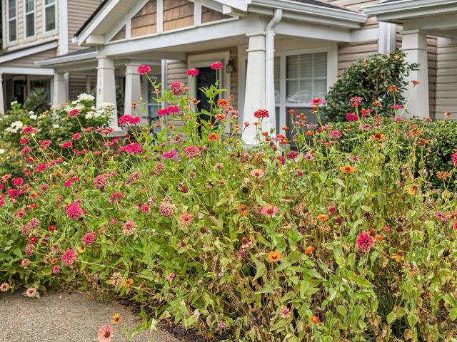 121 Shadow Glen Dr